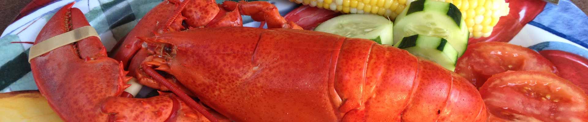 Kreeft koken is niet zo moeilijk, maar niet iedereen kan dit.