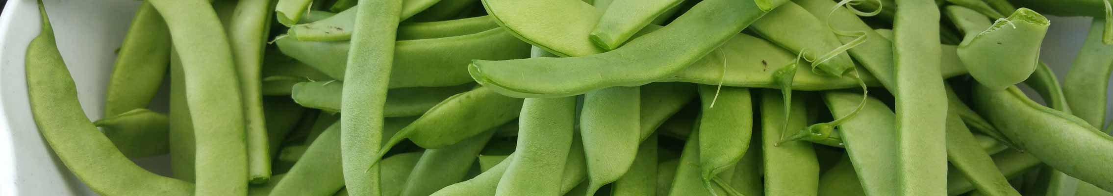 Hoe lang moeten snijbonen koken, een platte peulvrucht.