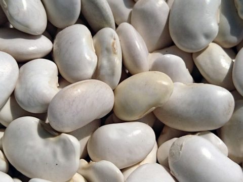 Hoe lang moeten witte bonen koken? Gedroogd of verse bonen.