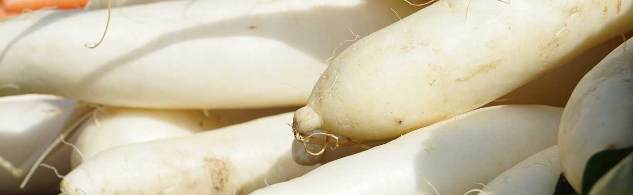 Hoe lang moet rammenas koken? Of rauw bereiden.