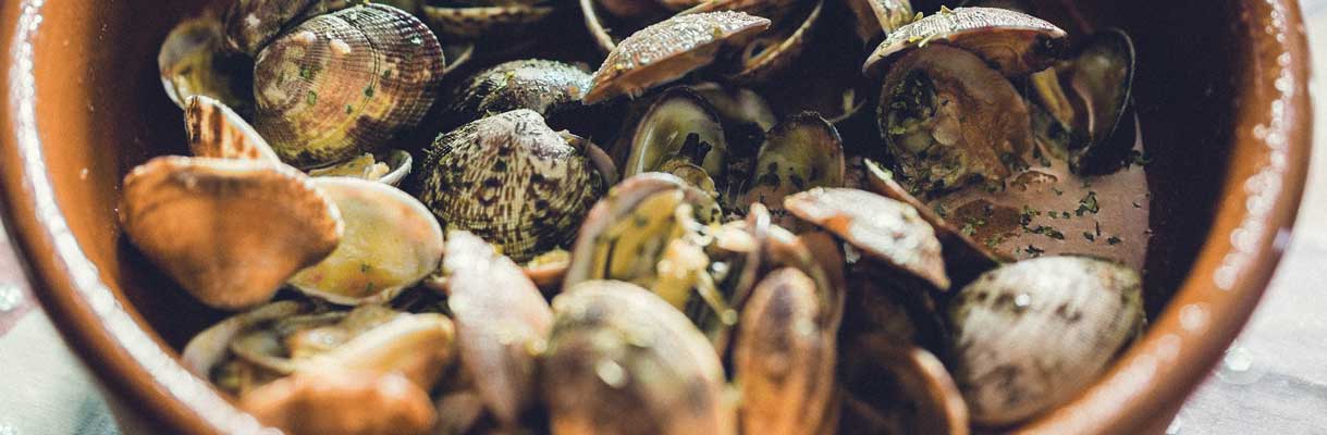 Hoe lang moeten kokkels koken? Heerlijke Hollandse zeevruchten.