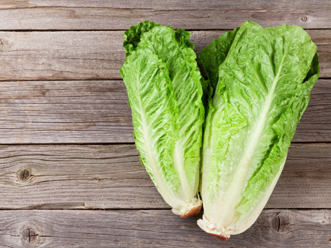 Hoe lang moet romaine sla bakken? Ook wel Romeinse sla genoemd.